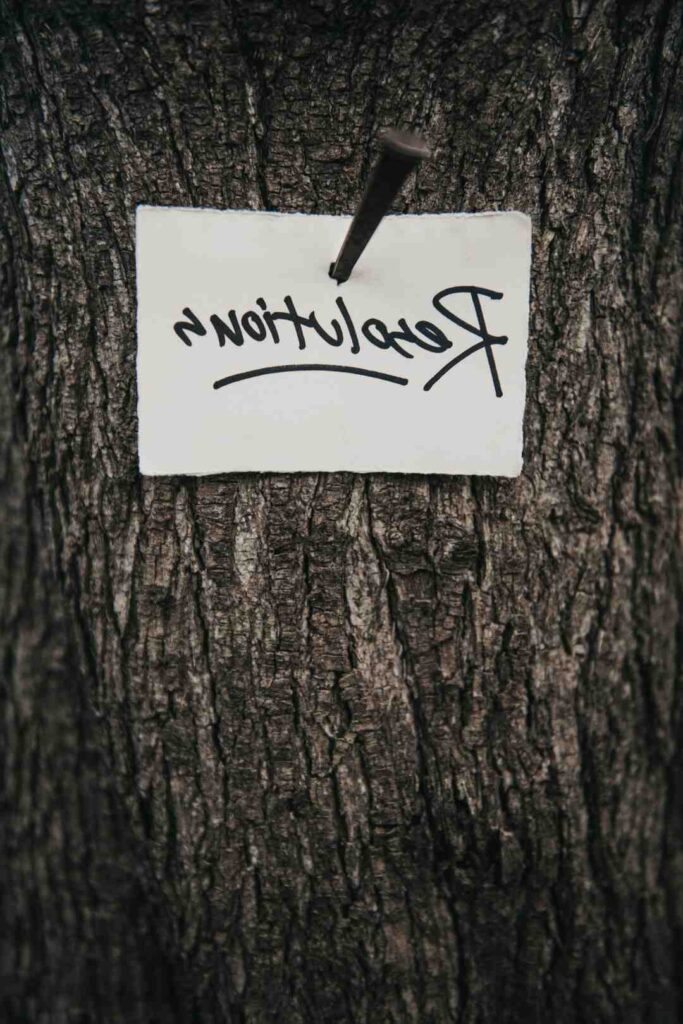 Jeux olympique d'hiver 2021 - L'enquete Sport